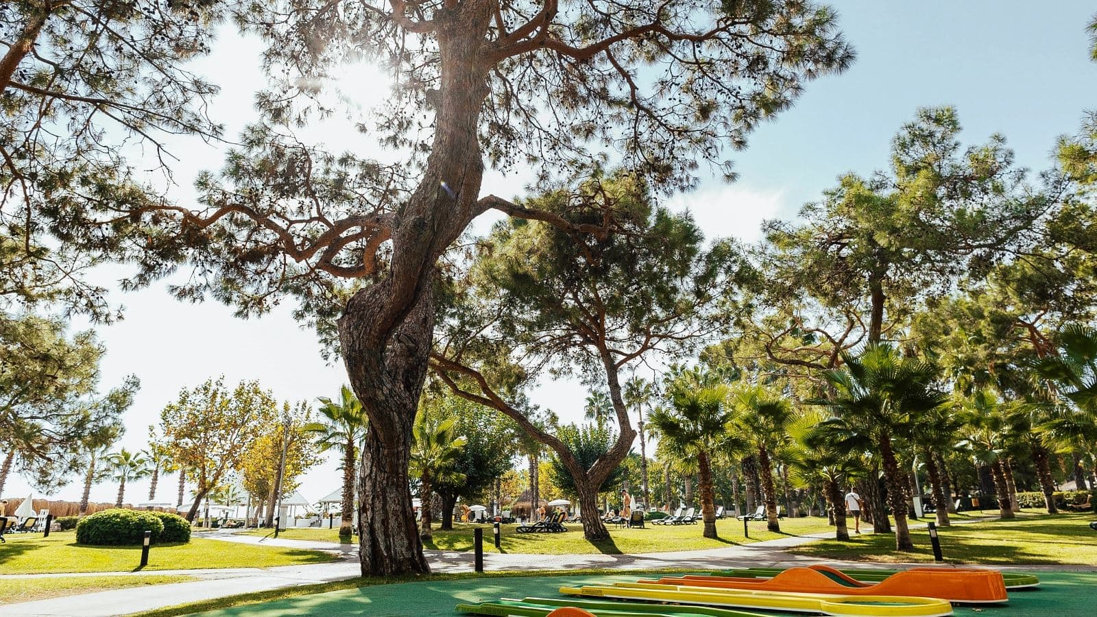 Hotel BALMY FORESTA, Turcja, opinie, zdjęcia, mapa, cena
