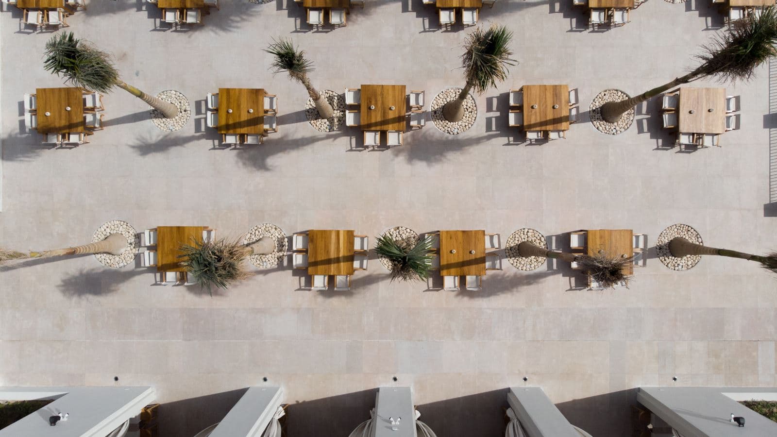 Hotel SERRY BEACH RESORT, Egipt, opinie, zdjęcia, mapa, cena